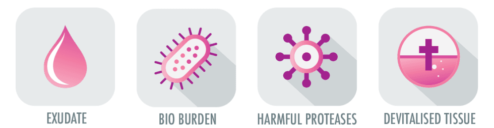 Home - Xlta Cure Wound Care Range